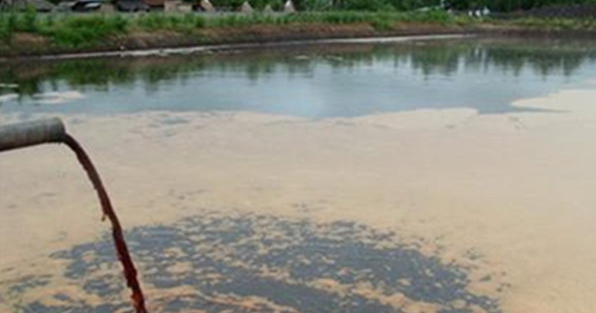 Ô nhiễm cadimi và sức khỏe con người - Tuổi Trẻ Online