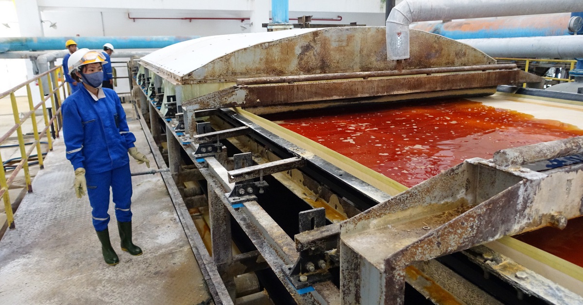 Lâm Đồng sẽ mất gần 5.000ha rừng vì khai thác bauxite tại Tân Rai ...