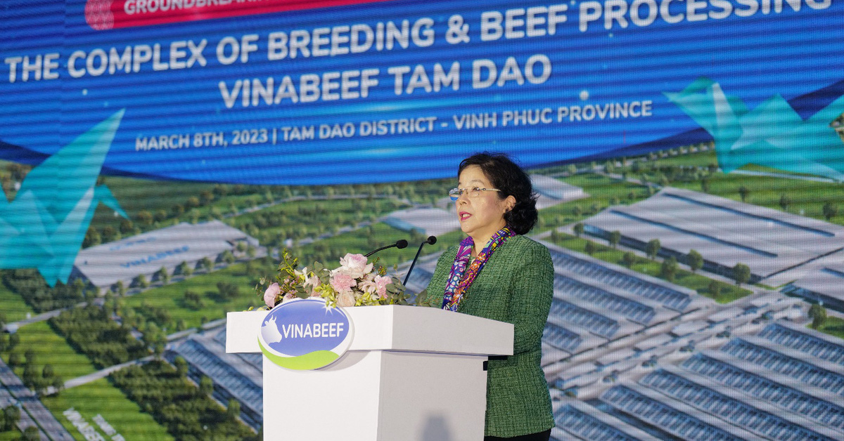 Vilico - công ty con Vinamilk và dấu ấn chuyển mình với dự án bò thịt ...