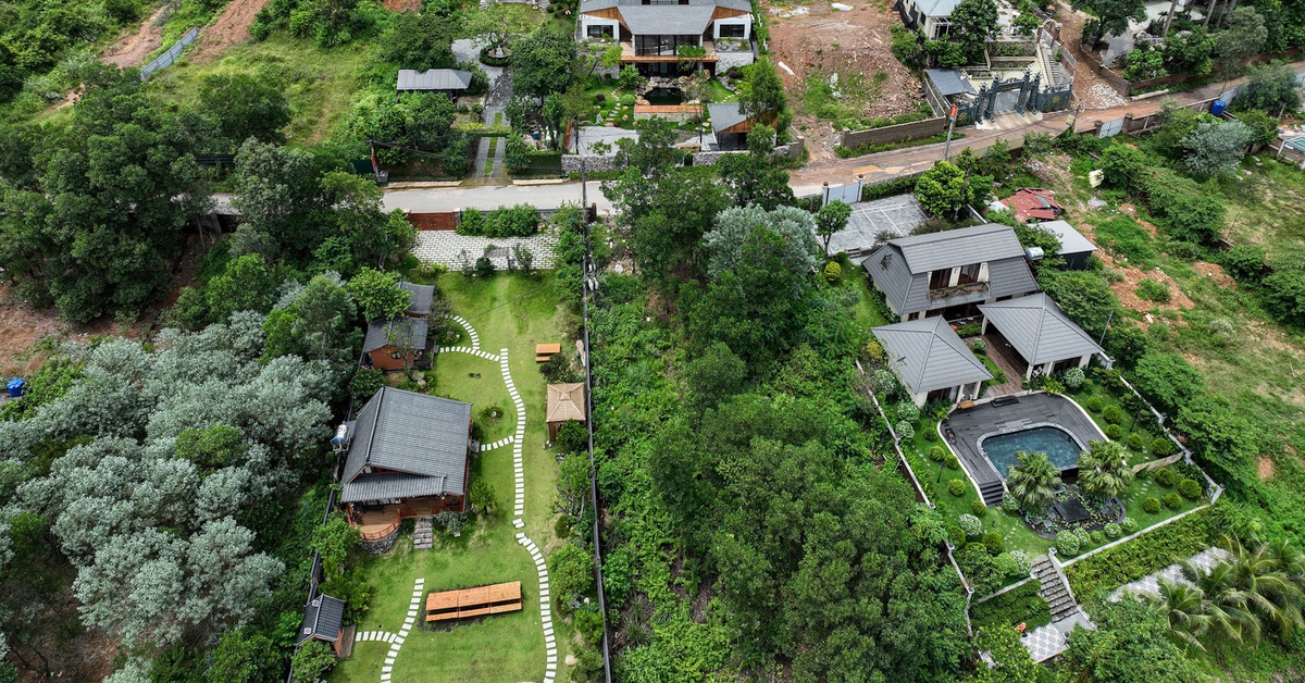 Hà Nội chuyển đổi 4,74ha rừng ở Sóc Sơn làm vành đai an toàn phòng cháy - Tuổi Trẻ Online