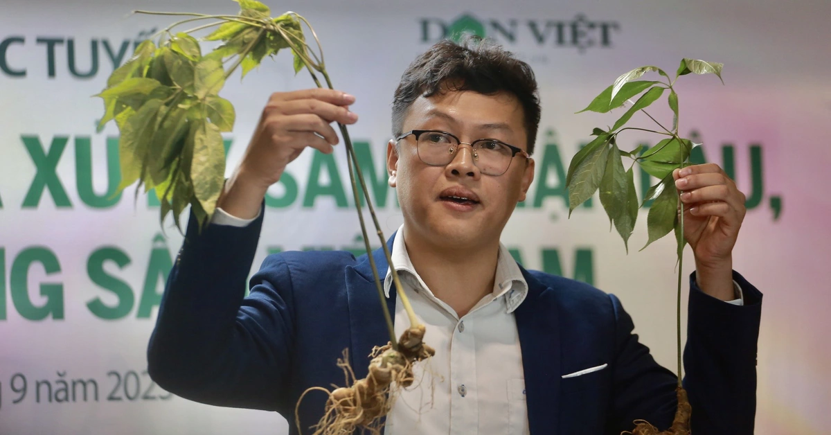 Nhiều sản phẩm rượu, mỹ phẩm... mạo danh sâm Ngọc Linh, sâm Lai Châu ...