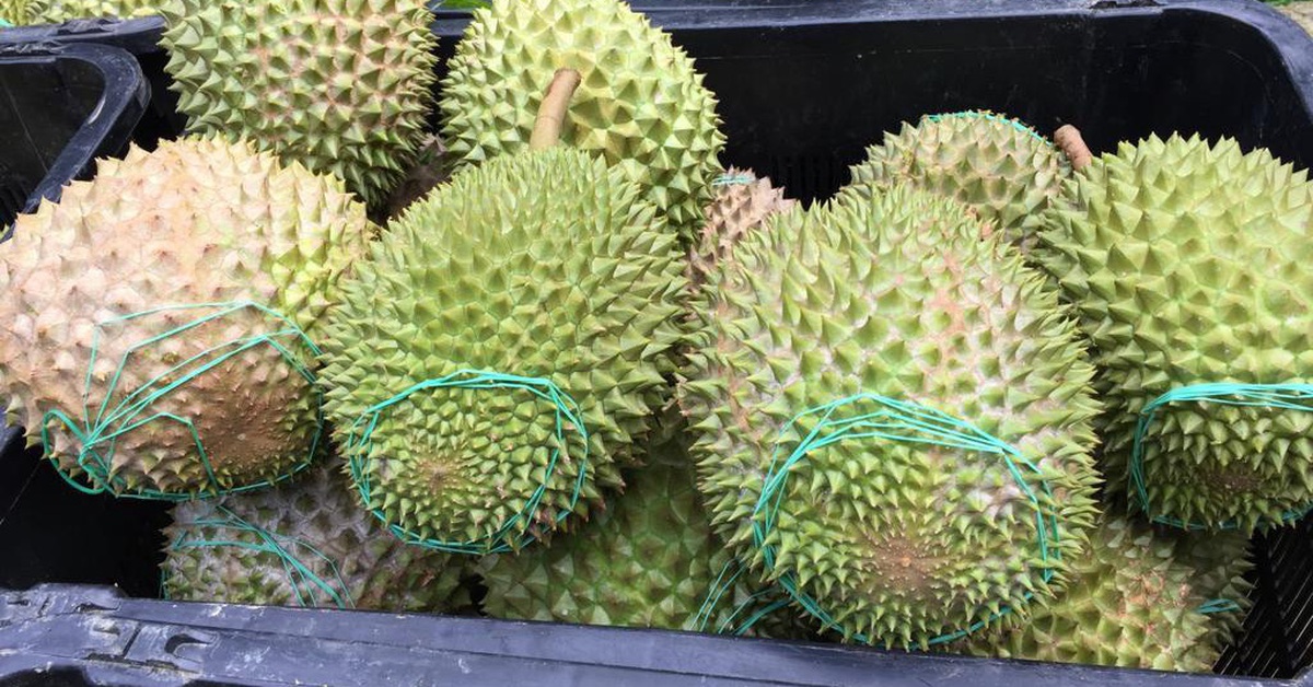 Cadimi vì sao xuất hiện trong thực phẩm, gây hại ra sao? - Tuổi Trẻ Online