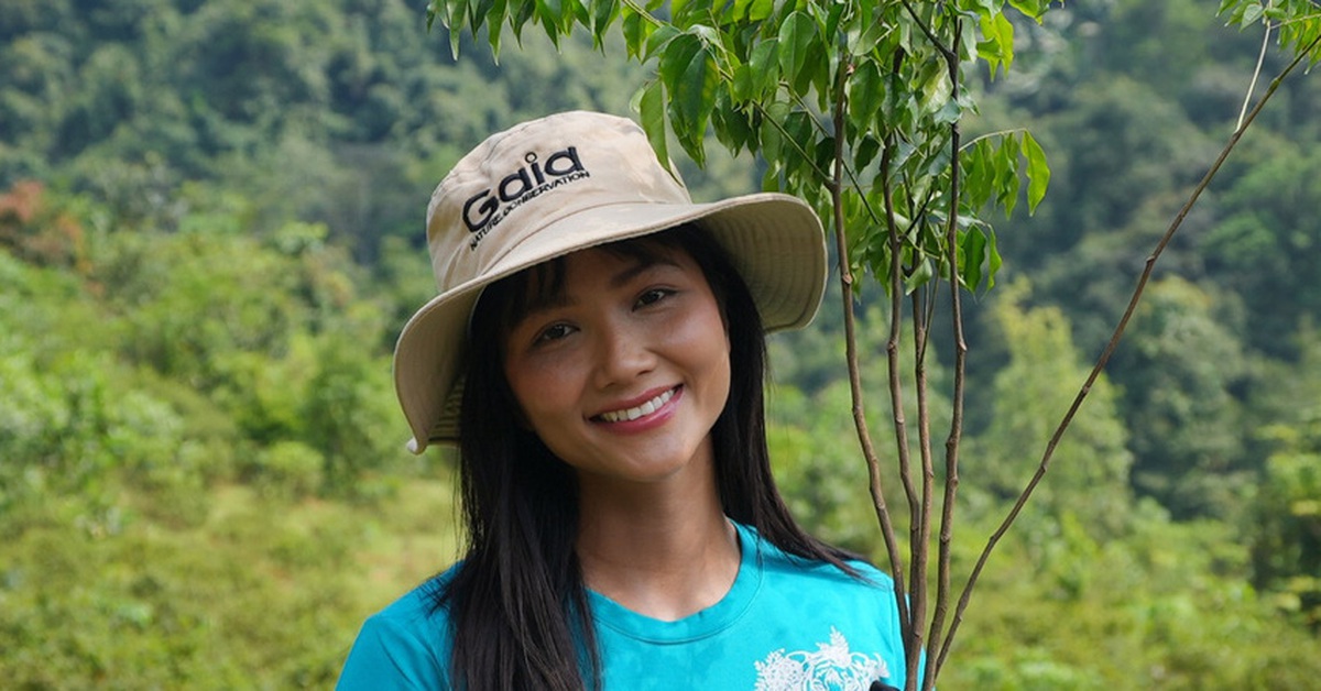 H'Hen Niê tiếp tục trồng rừng và đồng hành với Tháng ba biên giới - Tuổi Trẻ Online