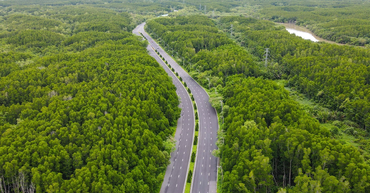 Ngắm đường Rừng Sác đi xuyên qua rừng ngập mặn xanh ngắt được đề xuất ...