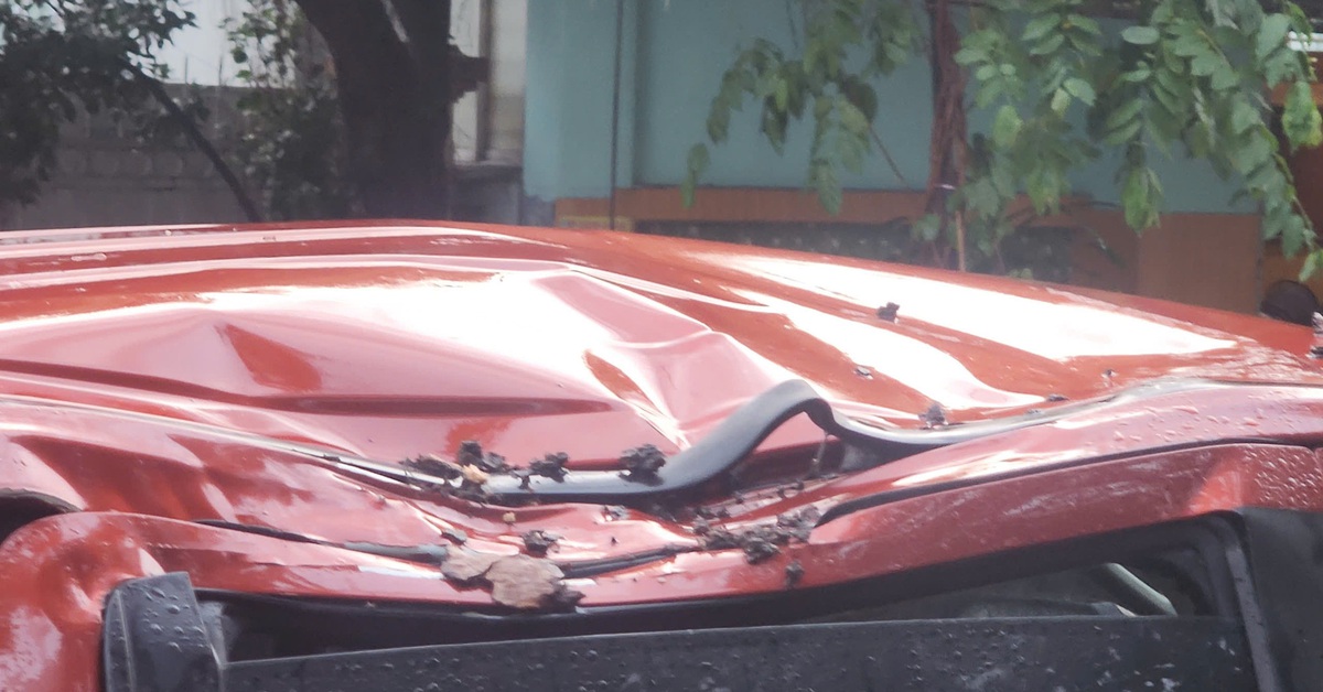 Mưa lớn làm cây dầu ngã đè lên ô tô đang đậu ven đường - Tuổi Trẻ Online