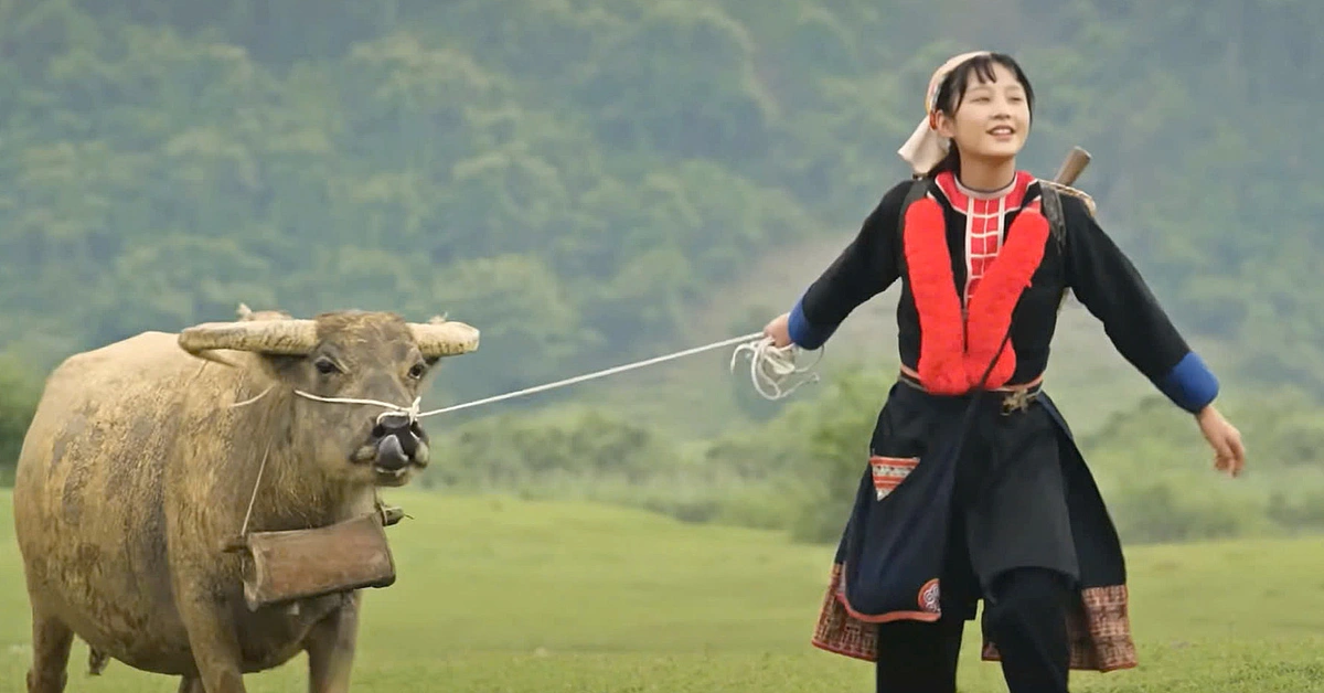 Tranh cãi quanh phim Đi giữa trời rực rỡ: Đừng nghĩ cứ khoác trang phục ...