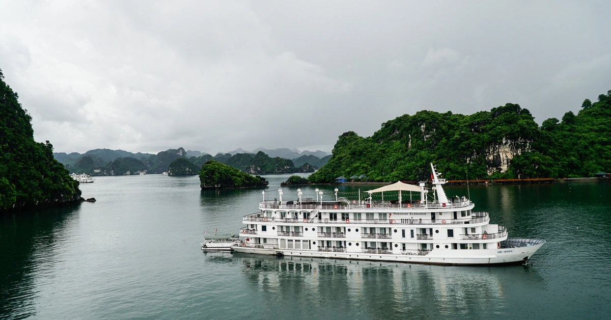 Vịnh Hạ Long mở lại 3 tuyến đón khách du lịch sau bão Yagi từ hôm nay ...