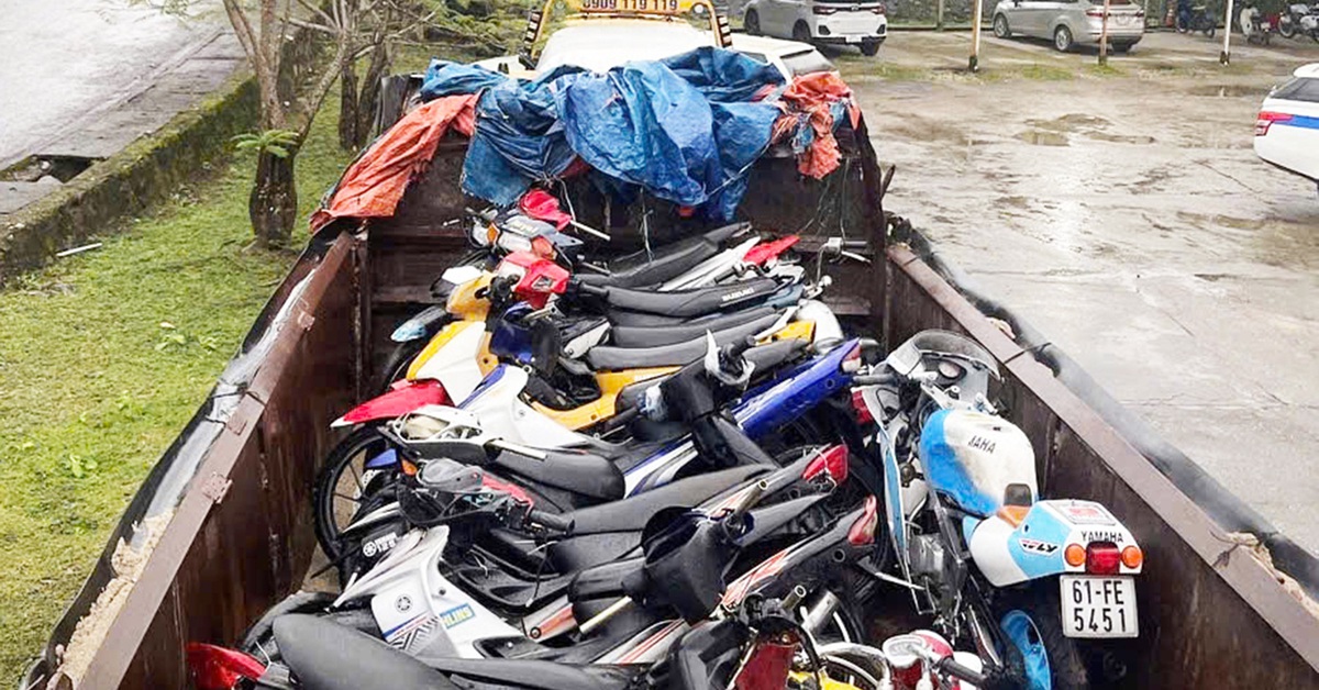Phát hiện vụ vận chuyển 16 mô tô, 1 ô tô không rõ nguồn gốc - Tuổi Trẻ ...