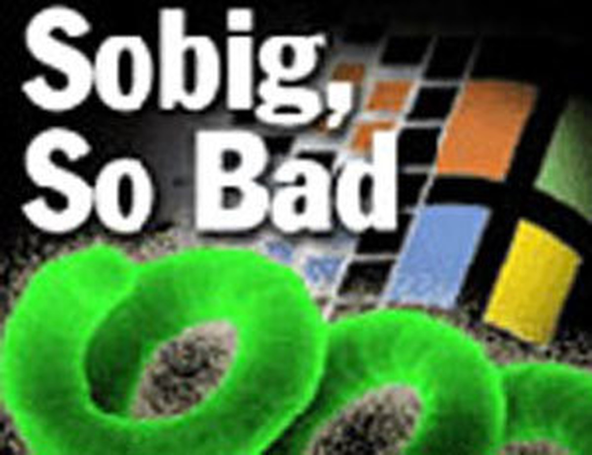 Sobig - virus nguy hiểm nhất năm 2003 - Tuổi Trẻ Online