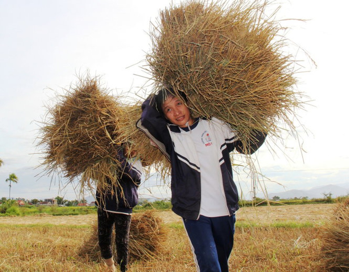 Côi cút vượt lên số phận - Tuổi Trẻ Online