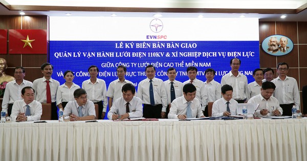 EVN SPC: Thành lập Công ty Dịch vụ Điện lực miền Nam - Tuổi Trẻ Online