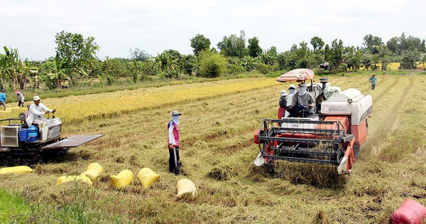 'Vựa lúa lớn nhất, cá tôm nhiều nhất nhưng hạ tầng, nhà cửa tệ nhất ...