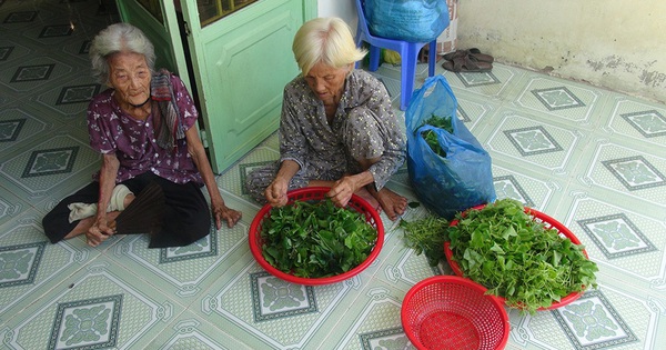 Mẹ Con Dìu Nhau đến Cuối Cuộc đời Tuổi Trẻ Online