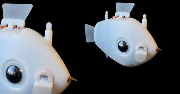 Cá robot - Phương tiện mới cho hoạt động cứu hộ trên biển - Tuổi Trẻ Online