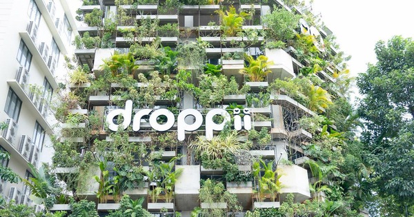 Droppii ra mắt văn phòng xanh Droppii Growth Hub - Tuổi Trẻ Online