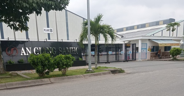 Top 15 cong ty samho an giang mới nhất năm 2023 - Kiến Thức Cho Người ...