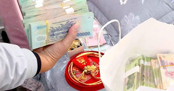 Phá đường Dây Cá độ Bóng đá Mùa World Cup Hơn 200 Tỉ đồng Tuổi Trẻ Online