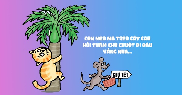 Thưởng thức hình ảnh con mèo trèo cây cau và những khoảnh khắc đáng yêu