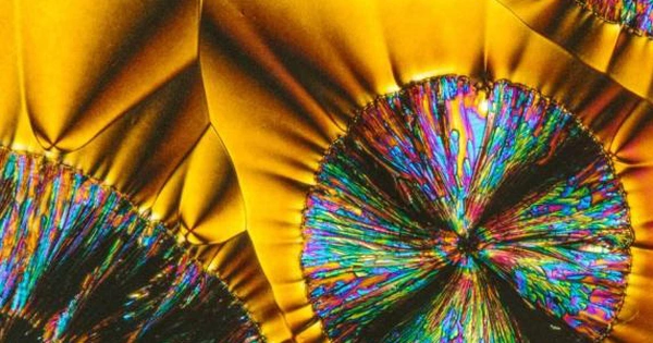 Ngắm ảnh hóa chất kỳ ảo dưới kính hiển vi - Tuổi Trẻ Online