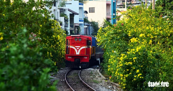 Biến đường sắt thành đường hoa dài nhất Việt Nam - Tuổi Trẻ Online