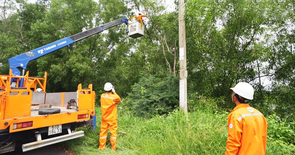 EVN HCM đảm bảo an toàn điện mùa mưa bão - Tuổi Trẻ Online