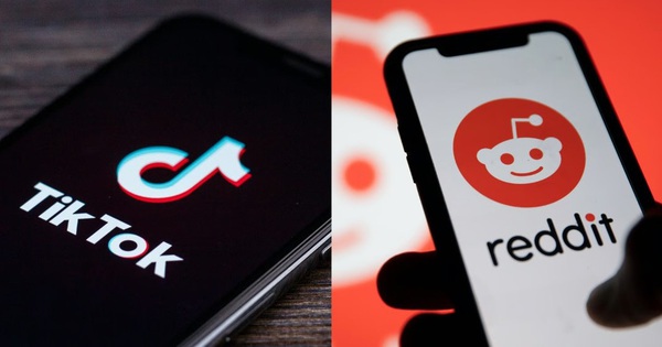 TikTok và Reddit có thể là nền tảng trực tuyến được tìm kiếm nhiều nhất ...