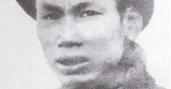 Nguyen Tat's Instagram, Twitter & Facebook on IDCrawl