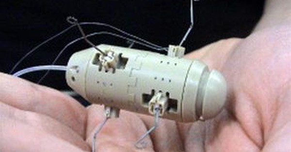 Robot giám sát ô nhiễm môi trường - Tuổi Trẻ Online