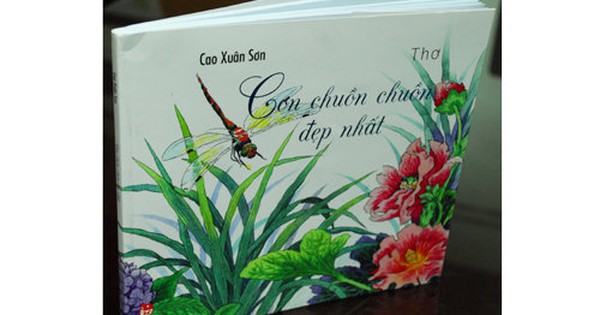 Con chuồn chuồn đẹp nhất - Tuổi Trẻ Online