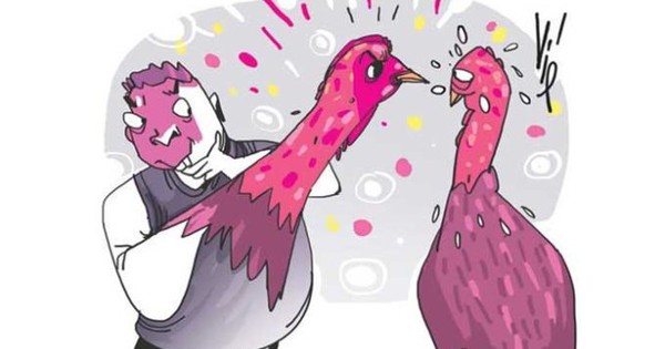 Chưa xác định nguyên nhân gà chết ở Đà Nẵng - Tuổi Trẻ Online